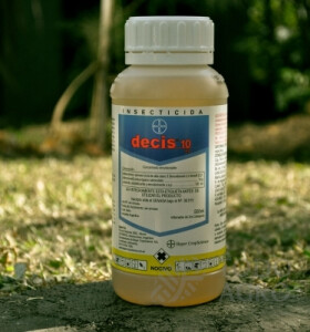 DECIS® 10 EC | TODO AGRO