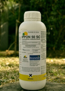IPPON® 500 Sc | TODO AGRO