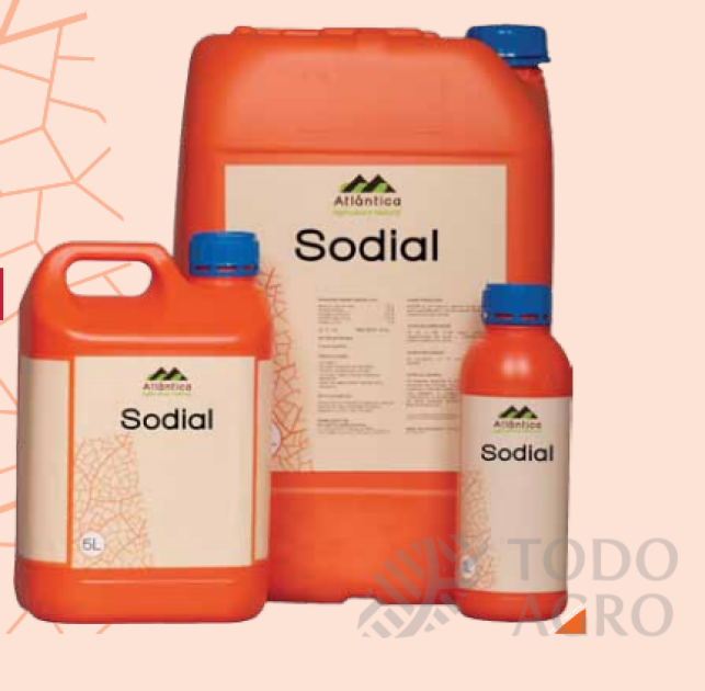 Sodial | TODO AGRO