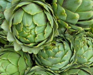 Alcauciles | TODO AGRO