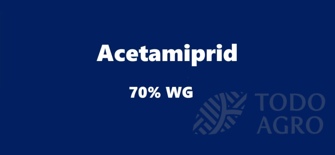 Acetamiprid 70% WG | TODO AGRO