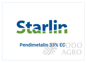 Starlin | TODO AGRO